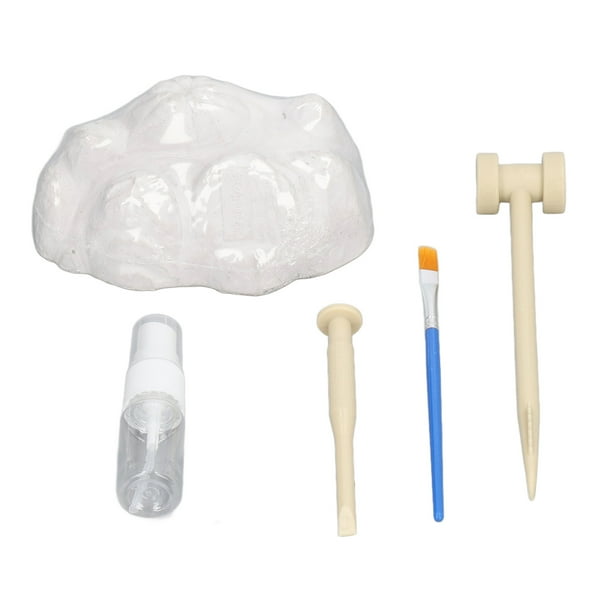 Excavation Kit, Educational Safe Simple Operation DIY Digging Kit For ...