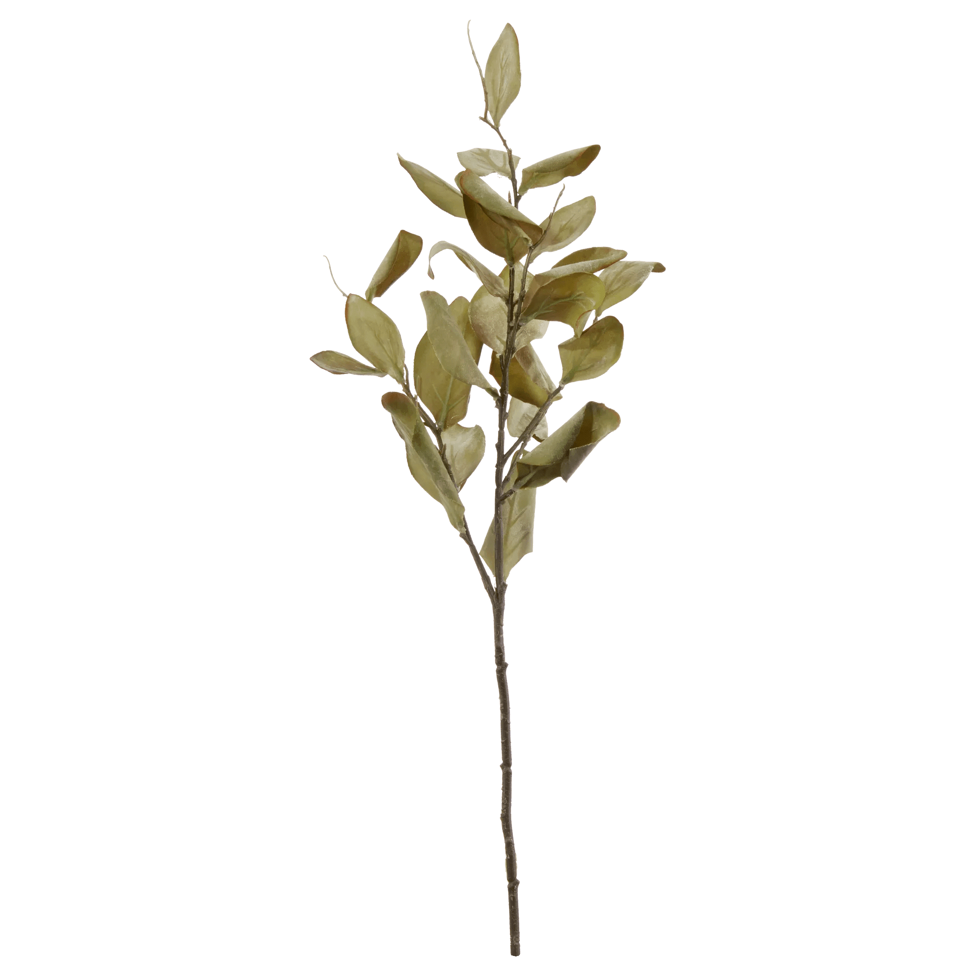 Click here for Bouclair Khaki Artificial Magnolia Leaf Stem 8 X 8... prices