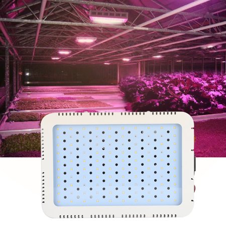 Plant Light, Easy Maintenance Plant Growing Light, Flowers Plants AU ...