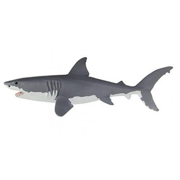 Shark Models