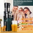 200W Electric Cold Press Masticating Juicer for Fruits, Vegetables ...