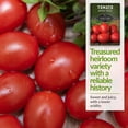 5 Packs Amish Paste Tomato Seed - Non-GMO Heirloom Full Sun Annual Vegetable - Walmart.com