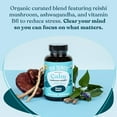 Four Sigmatic Calm Capsules | Vegan Stress Relief Supplement to Promote ...