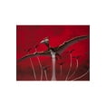 Bandai Spirts Godzilla Singular Point S.H.MonsterArts Rodan Action ...