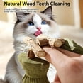 Catnip and Silvervine Chew Fish Bone Cat Toy, Catnip Silvervine Fish ...