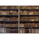 Wall26 Historic Old Books in Ancient Library, Wooden Bookshelf ...