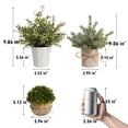 Artificial Plants Green Rosemary II 4 Pack Small Plastic Faux Plants in ...