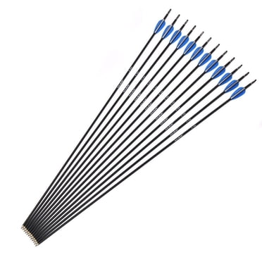 SAS Spirit Archery Carbon Arrows (12/Pack) - Walmart.com