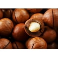 Food to Live Dry Roasted Macadamia Nuts, Lightly Salted with Himalayan ...