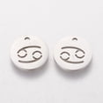 304 Stainless Steel Charms Flat Round with Constellation/Zodiac Sign ...