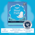 Equate Maxi Pads with Wings, Size 3, Extra Long Super Protection (26 ...