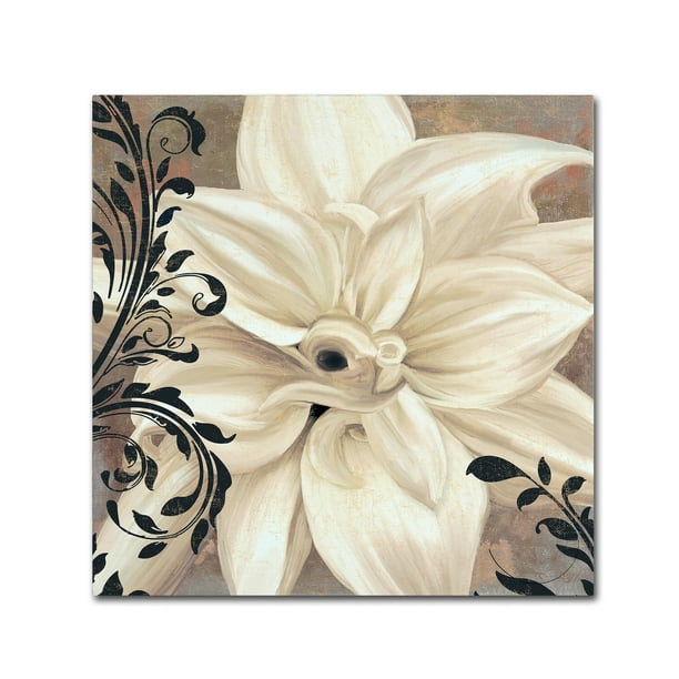 Trademark Fine Art 14x14 Floral Canvas Wall Art 'Winter White II' by ...