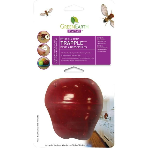 Fruit Fly Trap - Walmart.ca