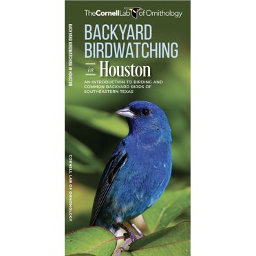 Bird Watcher's Digest Backyard Guide: Southern Birds: Backyard Guide ...