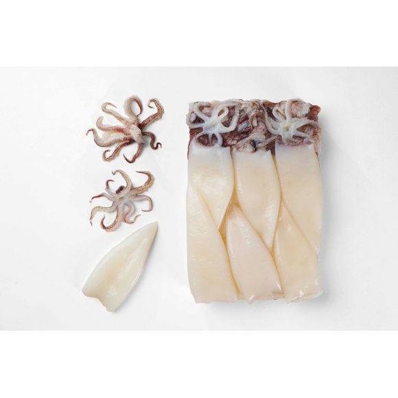 Frozen Squid