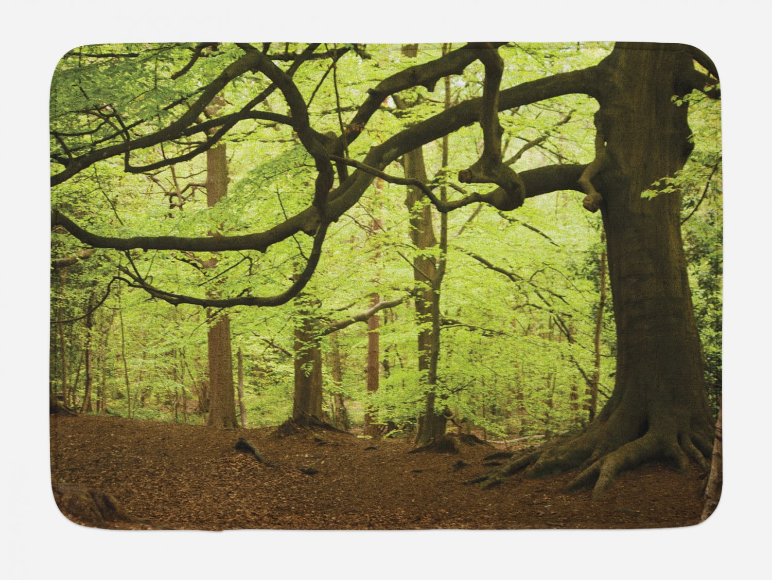 Woodland Bath Mat, English Woodland Scene with Sun Rays though the ...