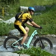 LILYPELLE Adult Electric Mountain Bike AWD with 26"x 4"Fat Tire, 48V ...
