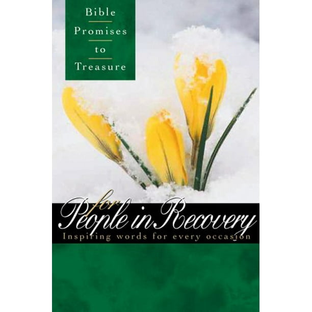 Recovery Bibles