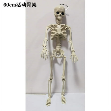 2 Pack 15.75 Inch Halloween Skeleton Full Body Posable Halloween ...