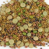 5 Part Salad Sprout Seed Mix -5 Lbs- Organic Sprouting Seeds: Radish ...
