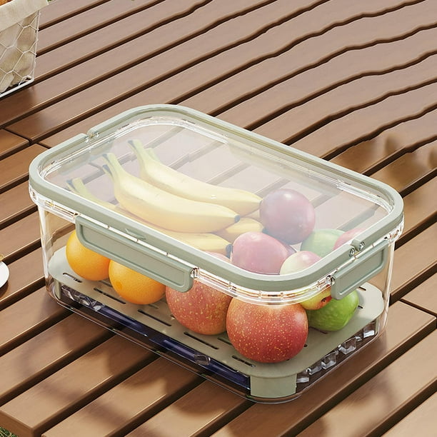 Portable crisper Multi-grain vegetable refrigerator crisper bento box ...