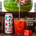 Mela Water Watermelon Juice Drink, Electrolytes, Antioxidants, Vitamin ...