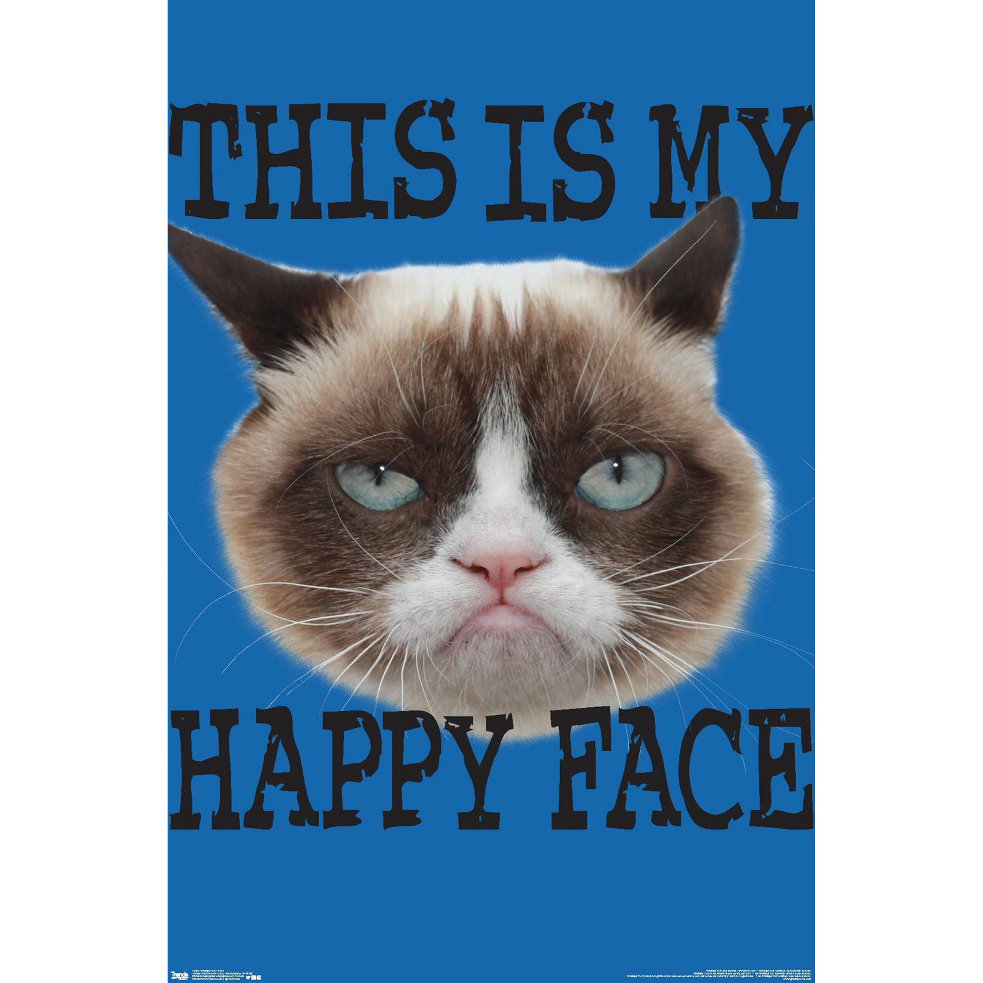 Click here for Trends International Grumpy Cat - Face Wall Poster... prices