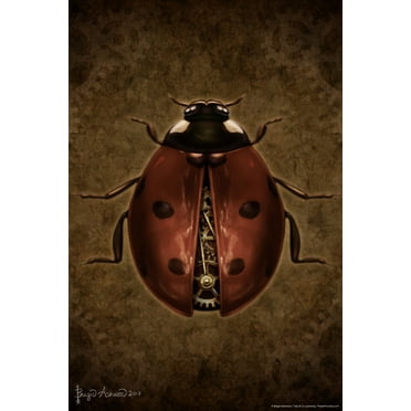 Laminated Miraculous Ladybug and Cat Noir Miracle Box Cartoon TV Series ...