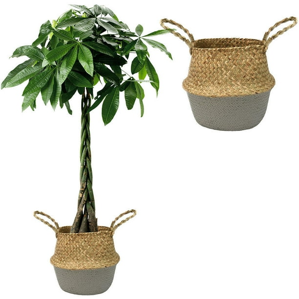 11 Inches Plastic Planters Plant Container Pots, Artera Collection ...