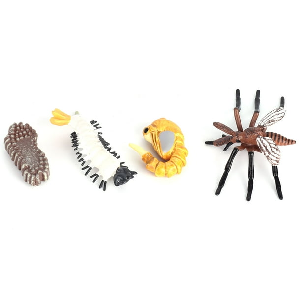 Insect Growth Cycle Model,Insect Life Cycle Figurines Ant Life Cycle ...