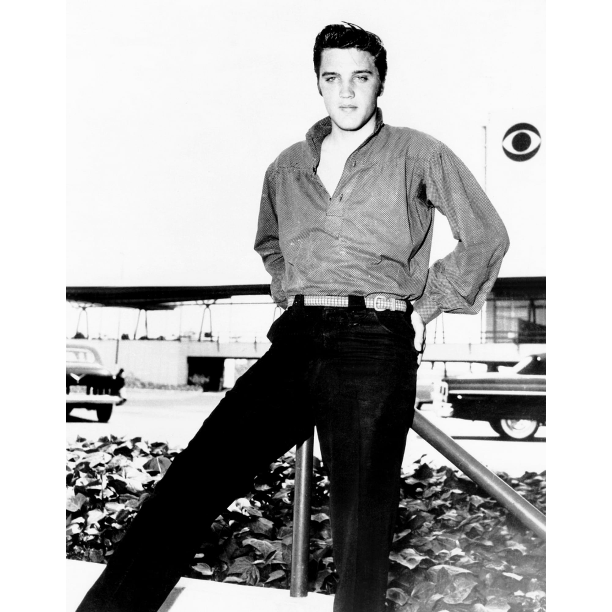 Elvis Presley 1956 Color
