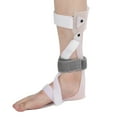 Ankle Foot Orthosis, Adjustable Foot Drop Brace Support, Professional ...