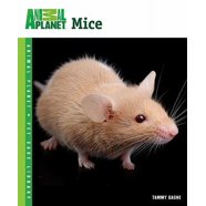 3m Ergonomic Mouse Em500gpl-am Large Mouse Right-handed Optical 3 ...