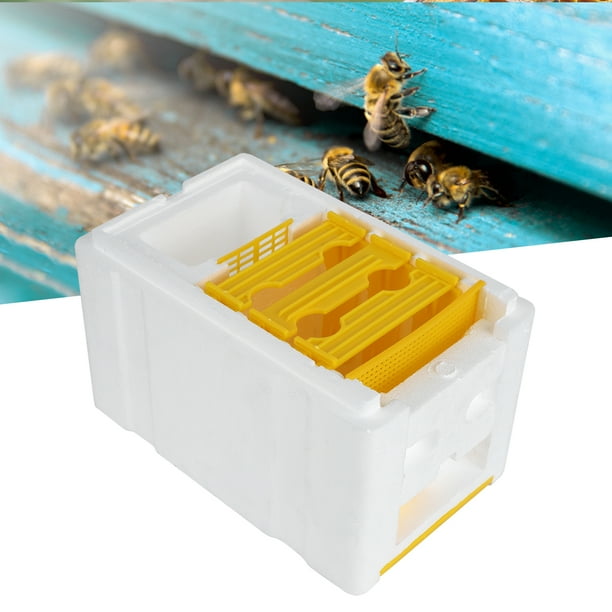 Beekeeper Toolsqueen Bee Mating Box Bee Breeding Box Queen Bee Mating Box Performance Driven