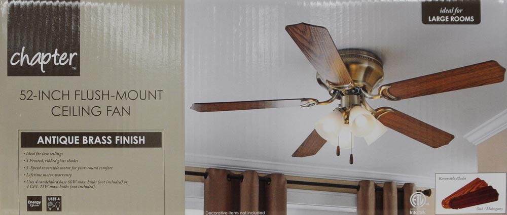 Chapter 52 Flush Mount Ceiling Fan | Shelly Lighting