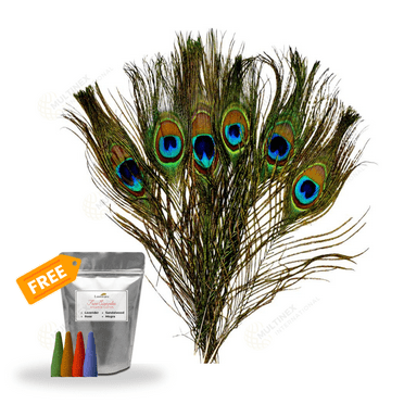 Peacock Feather Picks by Ashland® - Walmart.com