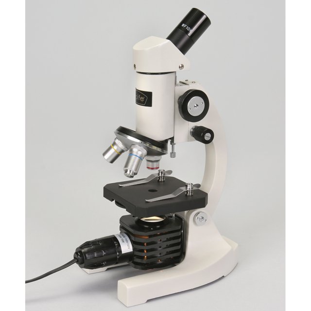 Wolfe® Introductory Student Microscope, 45° Inclined Head, Compact ...