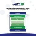 Nutrasal PhosChol, 900mg 30 Gel Capsules - Walmart.com