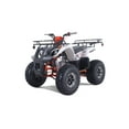 Tao Motor 125 T-FORCE Platinum 120cc Gas Powered Quad Wheeler All ...