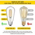 PYYAN-Vintage LED Edison Bulbs, 6W, Equivalent 60W, Dimmable, High ...