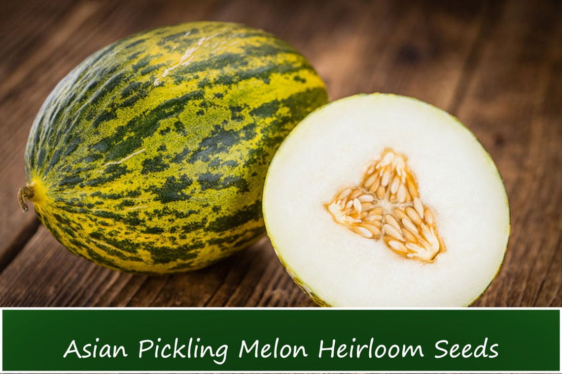 Vegetable Seeds- Asian Pickling Melon - 10 Heirloom Seeds - Walmart.com