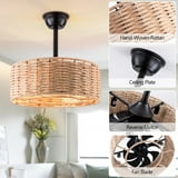 Maxax 19" Boho Caged Ceiling Fan with Light, Rattan Chandelier Ceiling ...