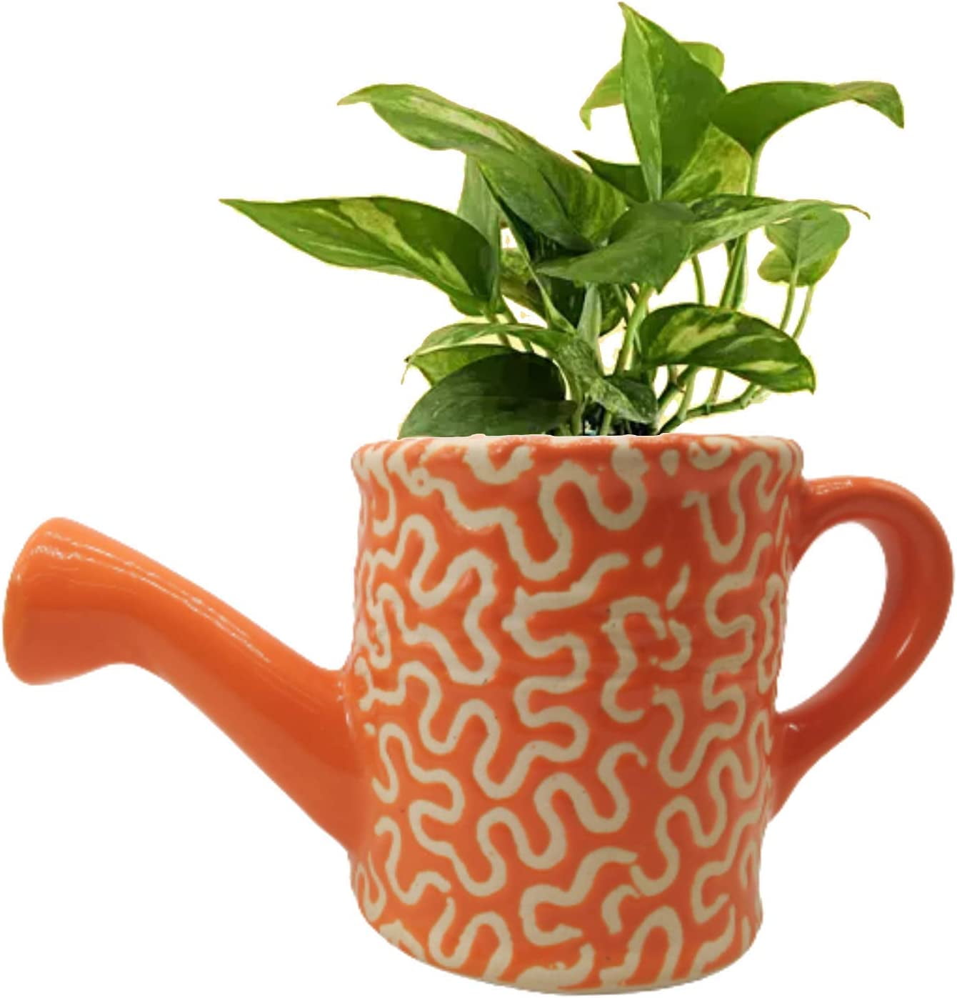 India Meets India Ceramic Planter Watering Can Shaped Indoor Outdoor ...