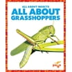 All about Insects: All about Butterflies (Hardcover) - Walmart.com