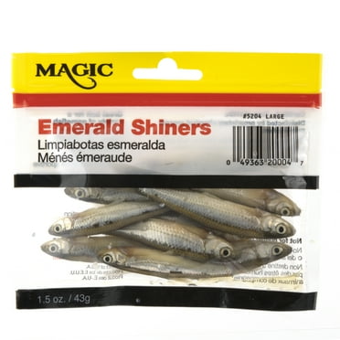 Preserved Shiner Minnows, Small, 1 1/2 oz Bag, Natural - Walmart.com