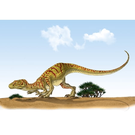 Eoraptor, one of the world's earliest dinosaurs that lived during the ...