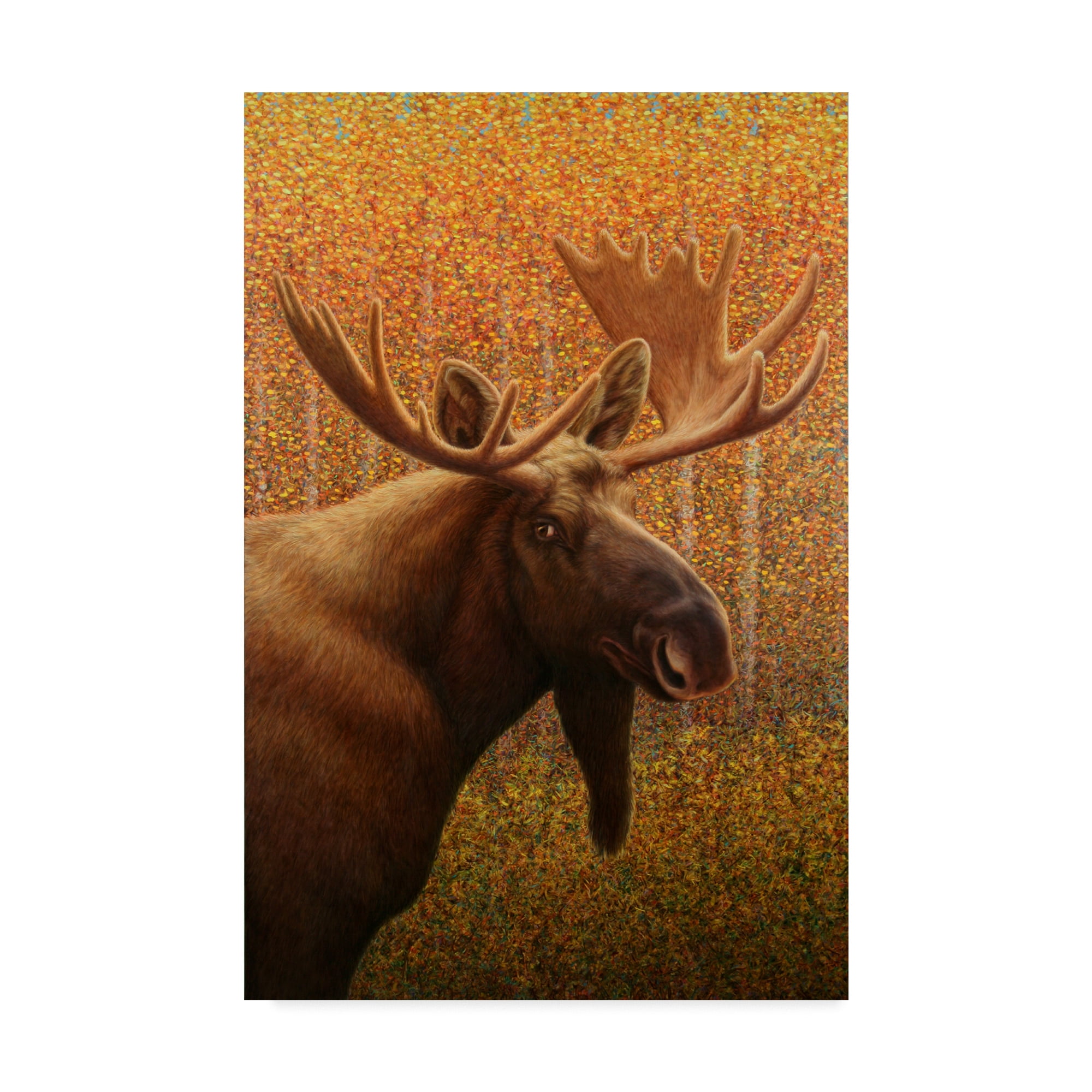 Trademark Fine Art 'Moose' Canvas Art by James W. Johnson - Walmart.com ...