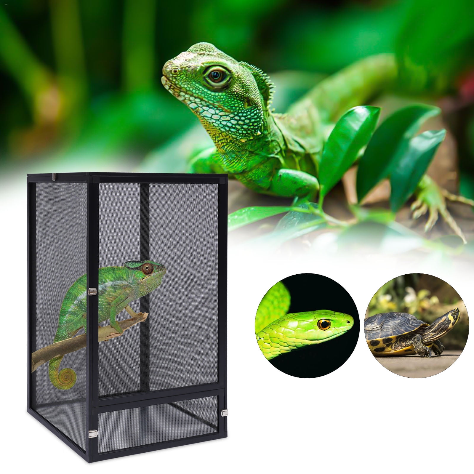 Pet Chameleon Tank