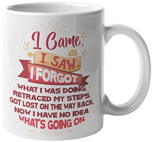 I Came, I Saw, I Forgot. Funny Canny Coffee & Tea Gift Mug for ...