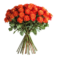 150 Long Stem Assorted Orange Roses- Beautiful Fresh Cut Flowers ...